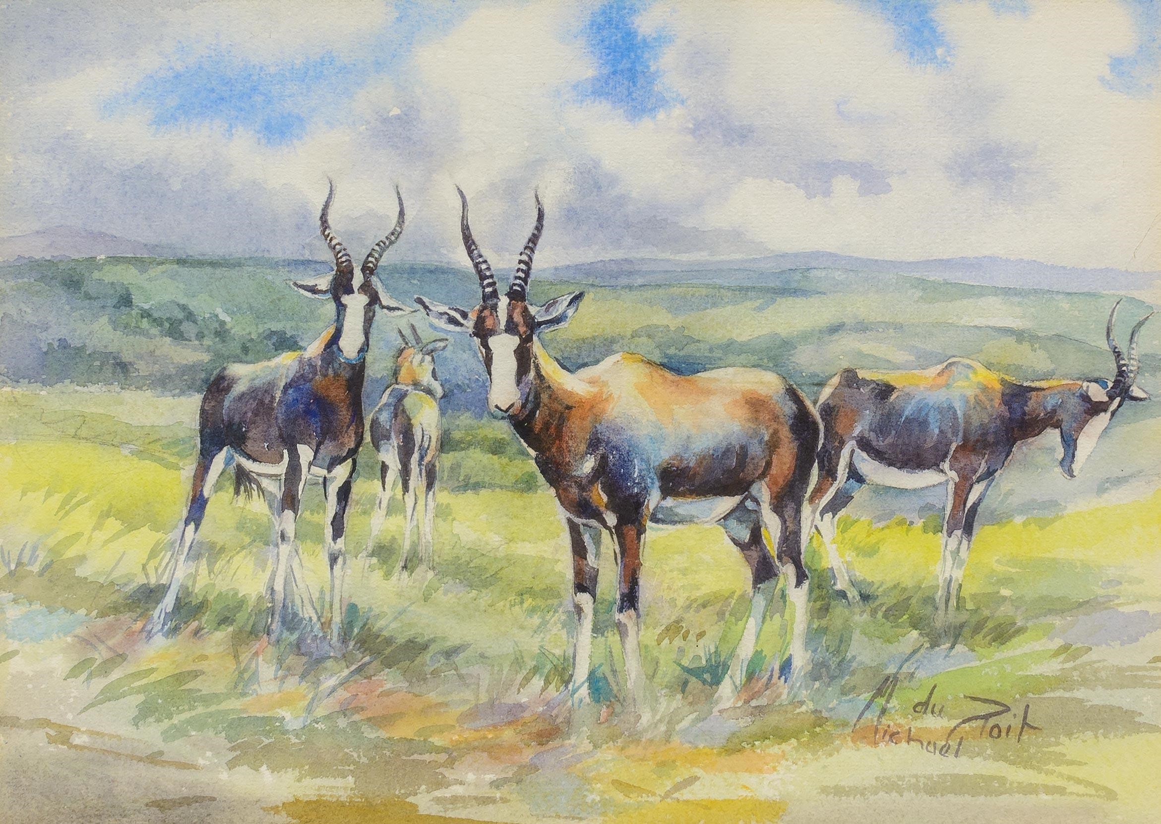 Michael Du Toit | Blesbok | MutualArt