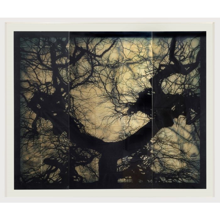 Doug & Mike Starn | Structure of thought #5. 2001 (2001) | MutualArt