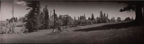 Josef Sudek | Mionsi Forest (Circa 1966) | MutualArt