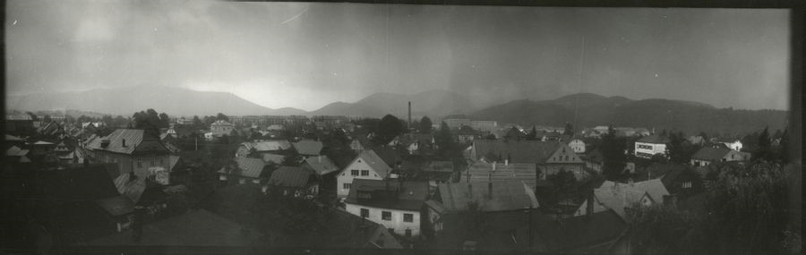 Josef Sudek | Mionsi Forest (1952) | MutualArt