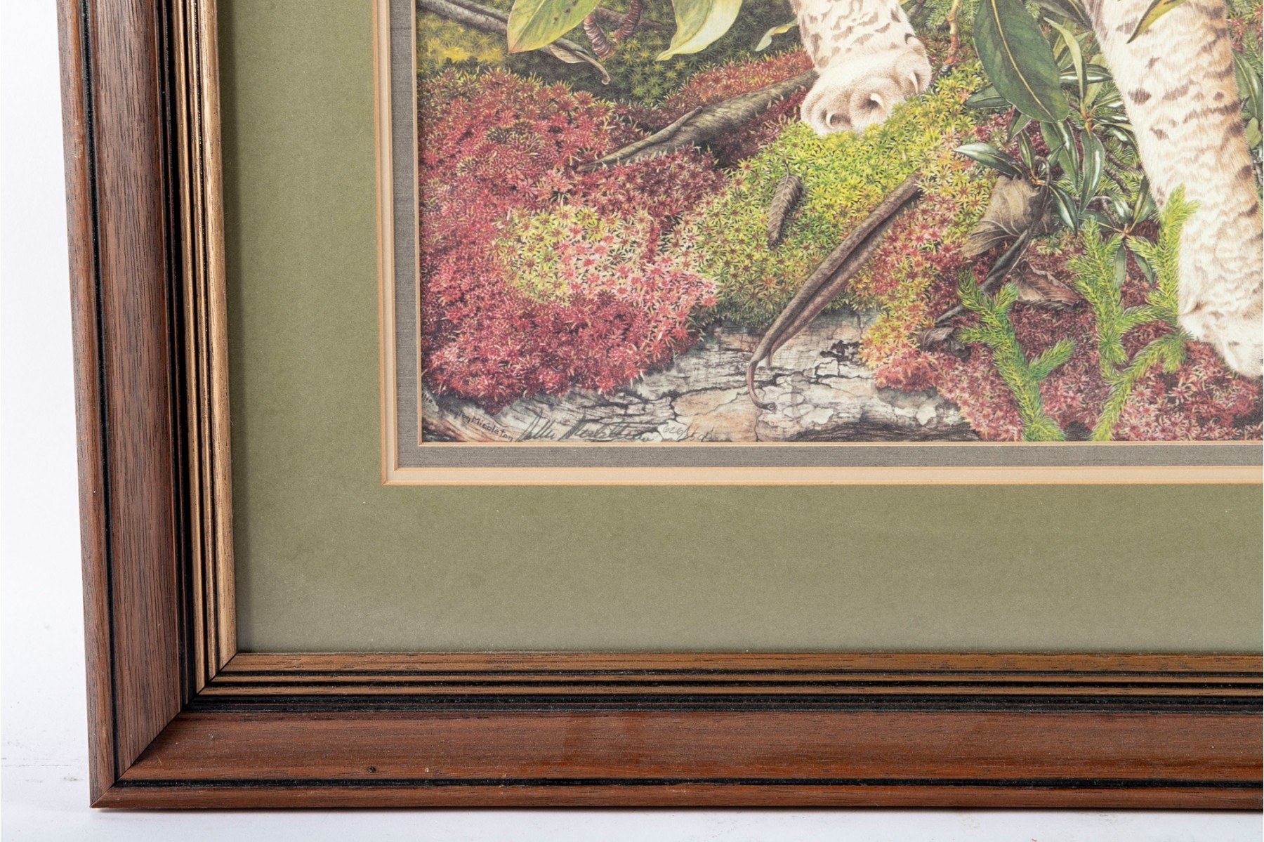 Sallie Ellington Middleton | A Cat Called Bob | MutualArt