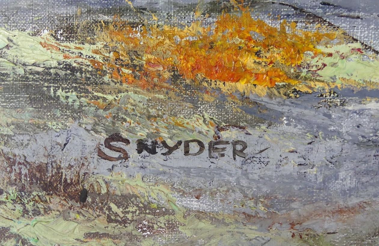Peter Etril Snyder | North Country Lake | MutualArt