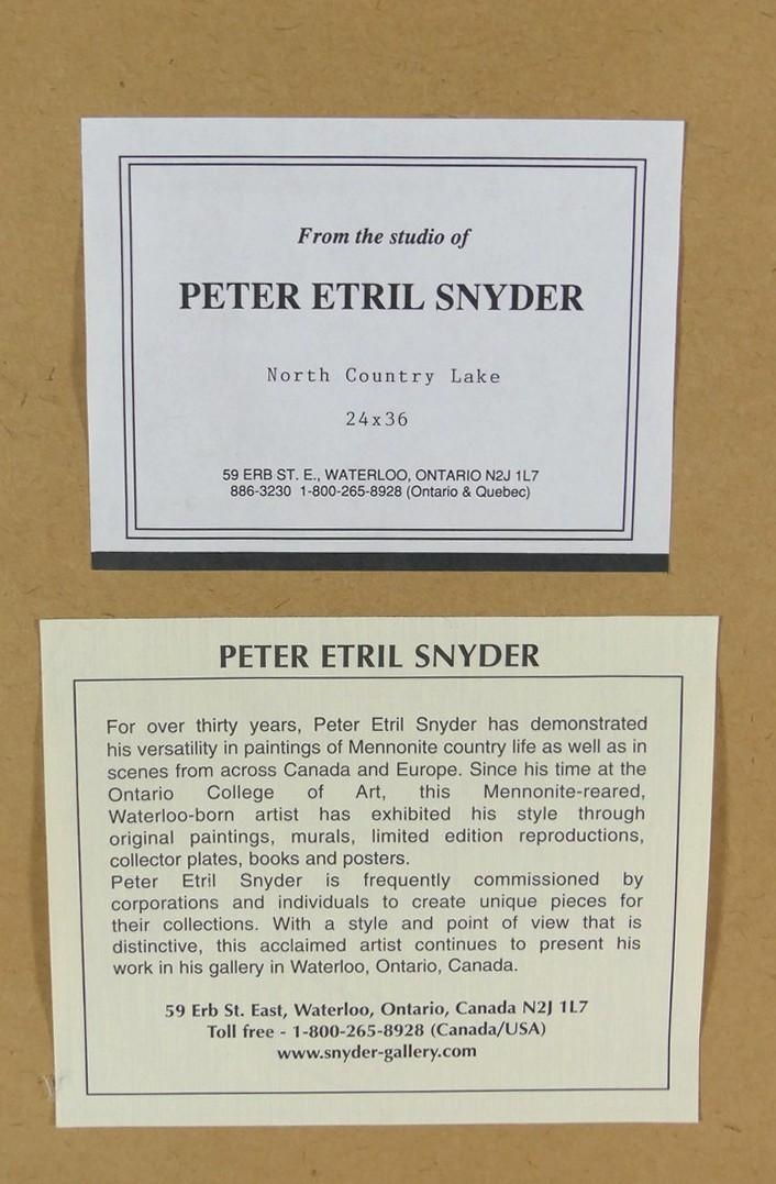 Peter Etril Snyder | North Country Lake | MutualArt