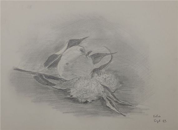 Lily Masson | Still life (1989) | MutualArt