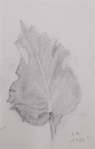 Lily Masson | Study of Leaves (1978) | MutualArt