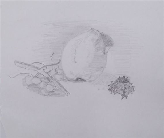 Lily Masson | Study for a still life with quinces and chestnuts ...