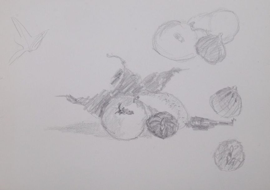 Lily Masson | Study of fruit | MutualArt