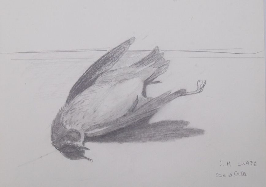 Lily Masson | Study of a Quail (1978) | MutualArt