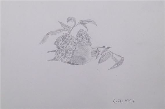 Lily Masson | Study of a pomegranate (1993) | MutualArt