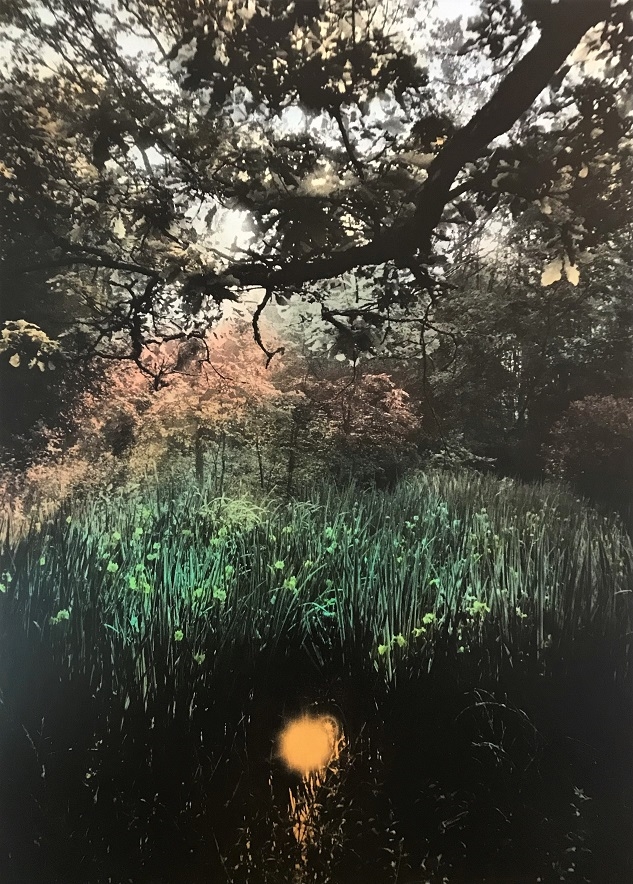 Maija Skuja | silver gelatin process | MutualArt