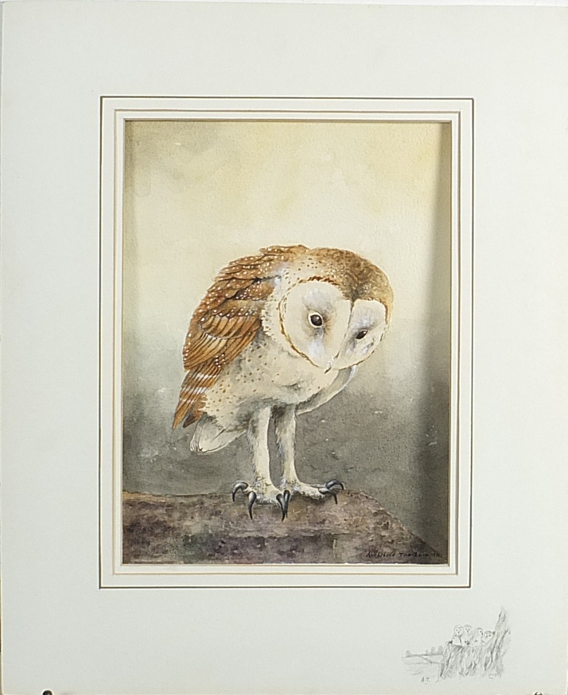 Archibald Thorburn | Portrait of an owl | MutualArt