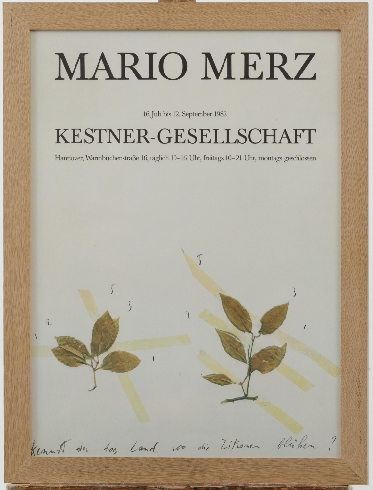 Mario Merz | Mario Merz (1982) | MutualArt