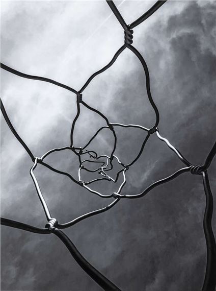 Daniel Scully | 1 Artworks at Auction | MutualArt