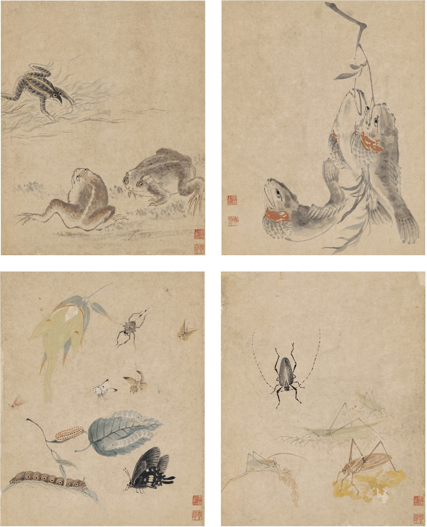 LI Lun | INSECTS | MutualArt