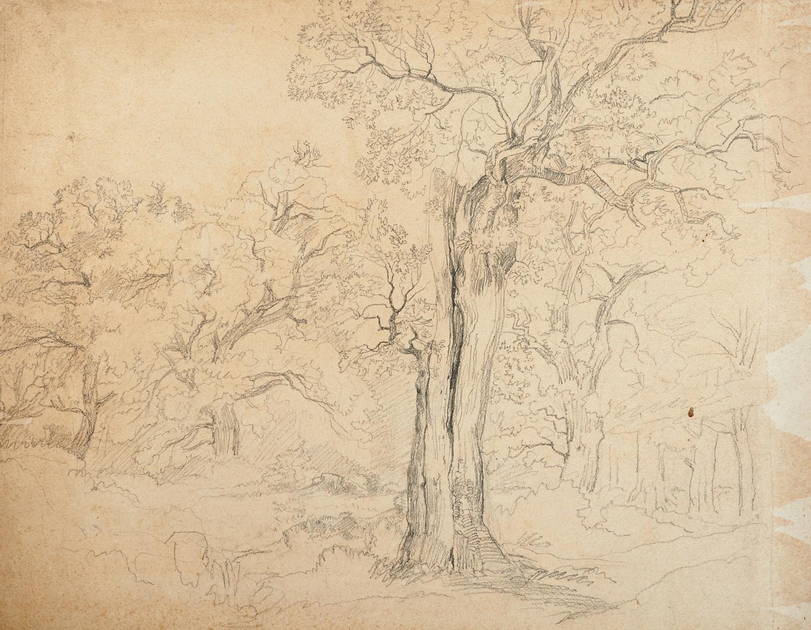 Albert August Zimmermann | Alpine Lake | MutualArt