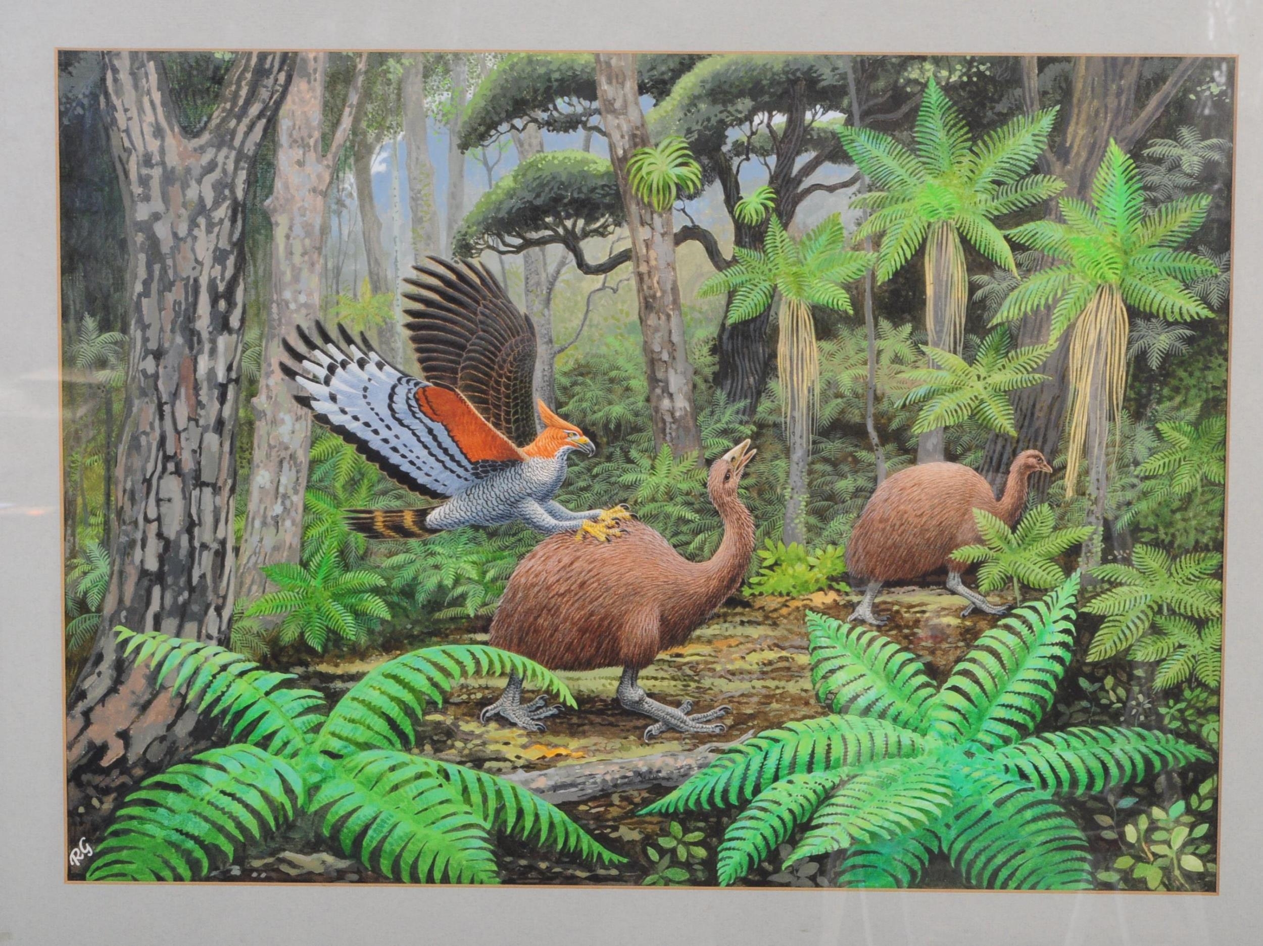 Robert Gillmor | LAND OF THE KIWI | MutualArt