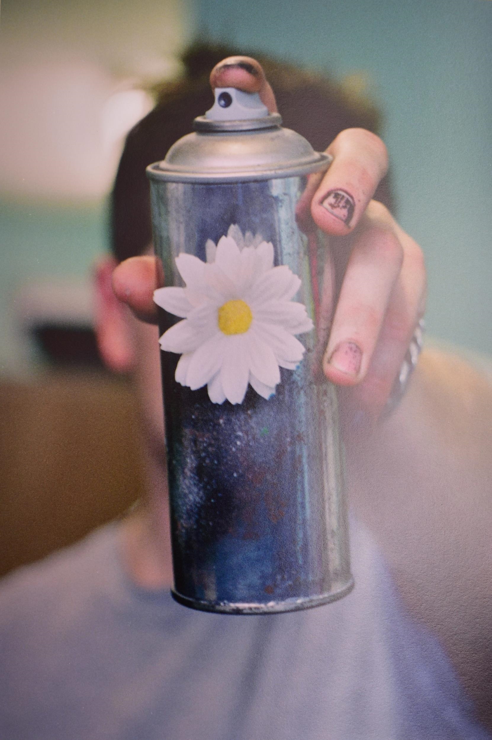 Banksy | SPRAY IT LOUD | MutualArt