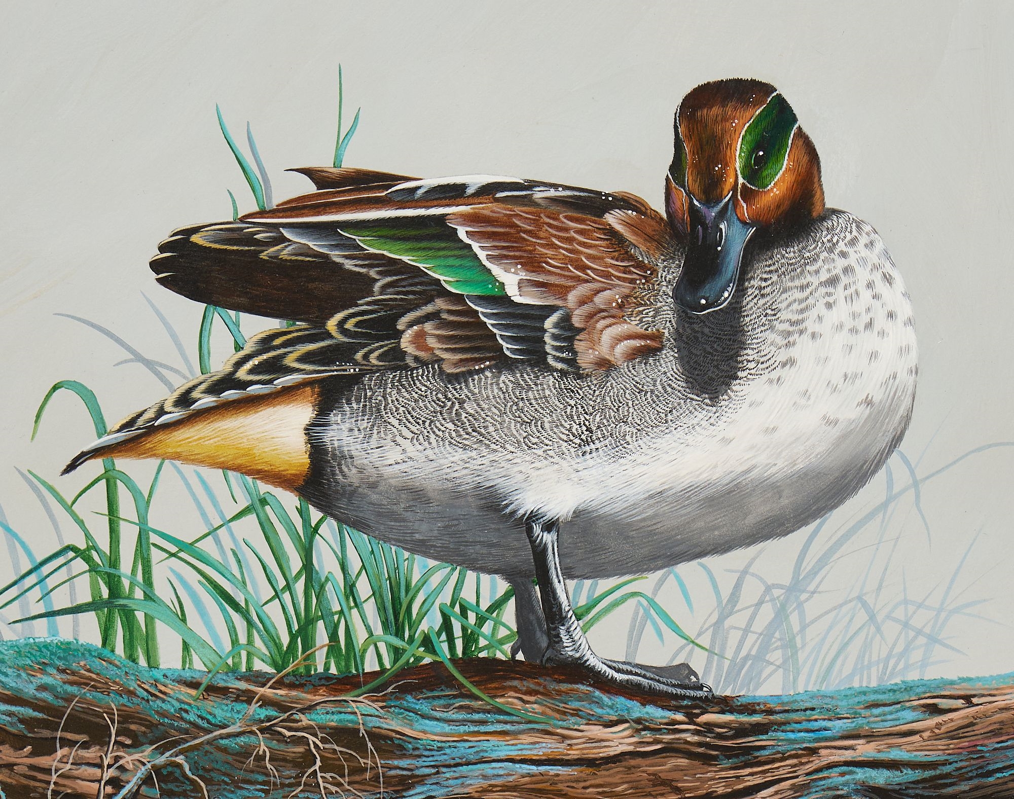 Phillip Crowe | Phillip Crowe Acrylic painting of a Mallard Duck (1990 ...