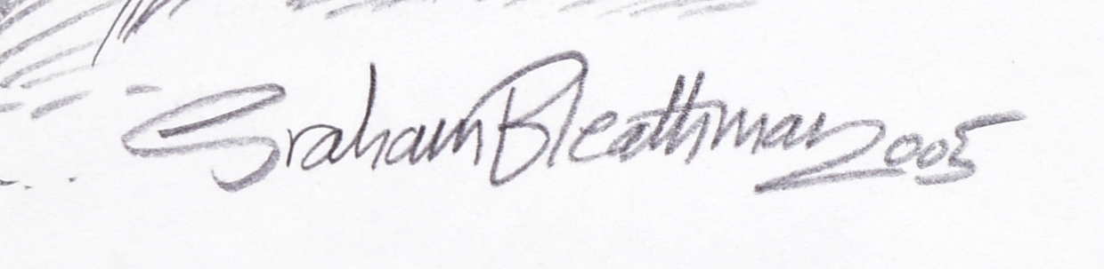 Graham Bleathman | Thunderbirds | MutualArt