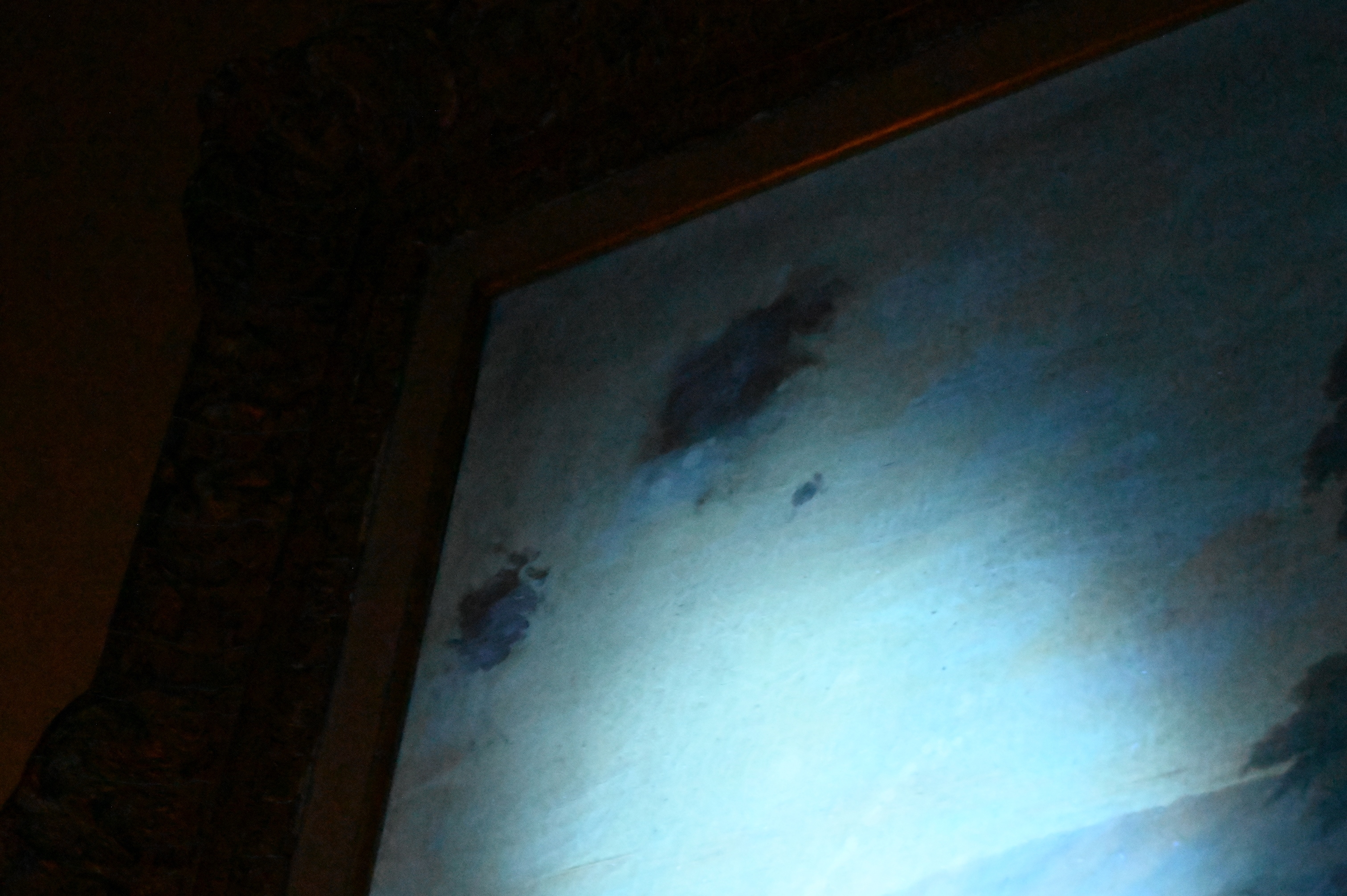 Alexandre Dubuisson | “L’abre Mort” | MutualArt