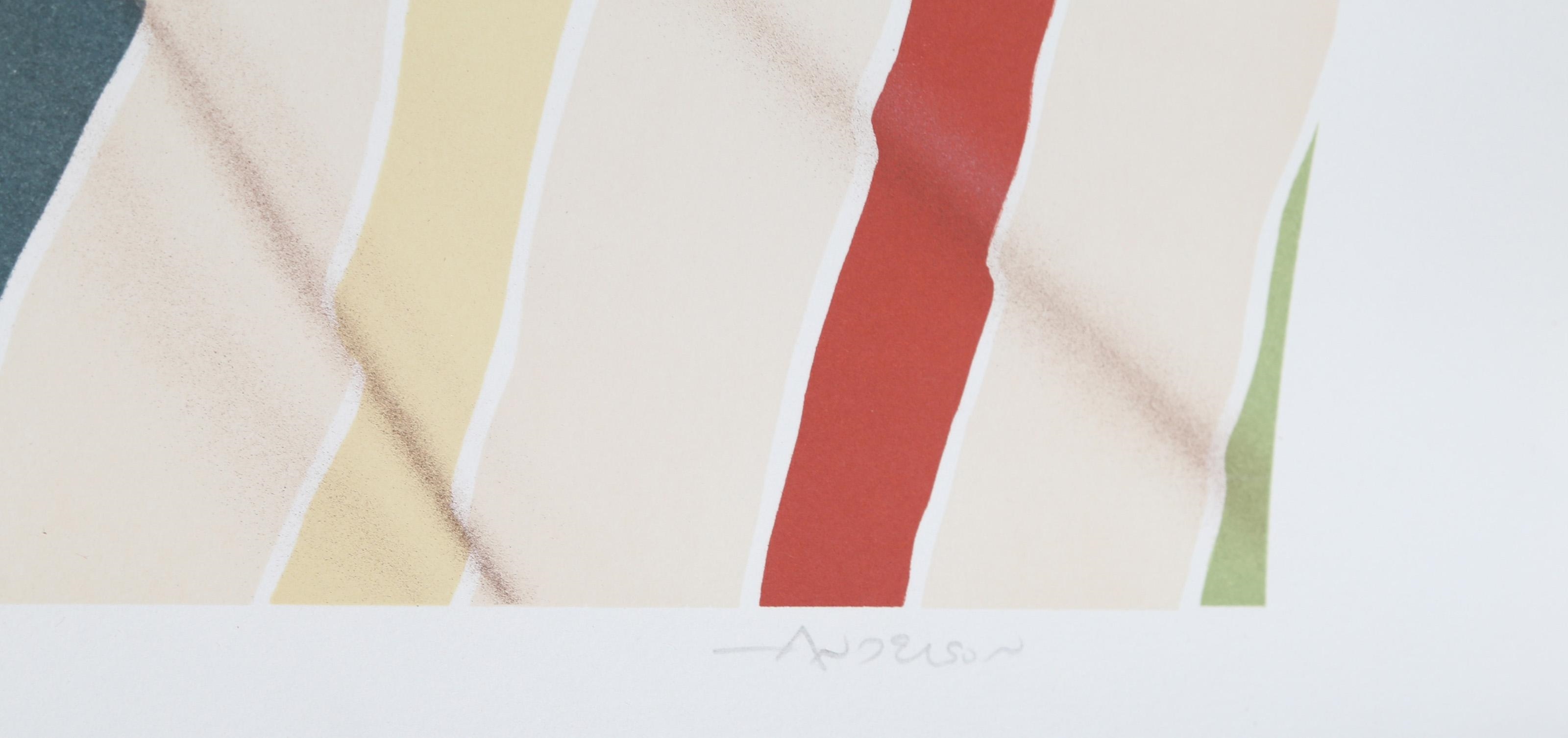 Robert Anderson | STARS AND STRIPES (Circa 1977) | MutualArt