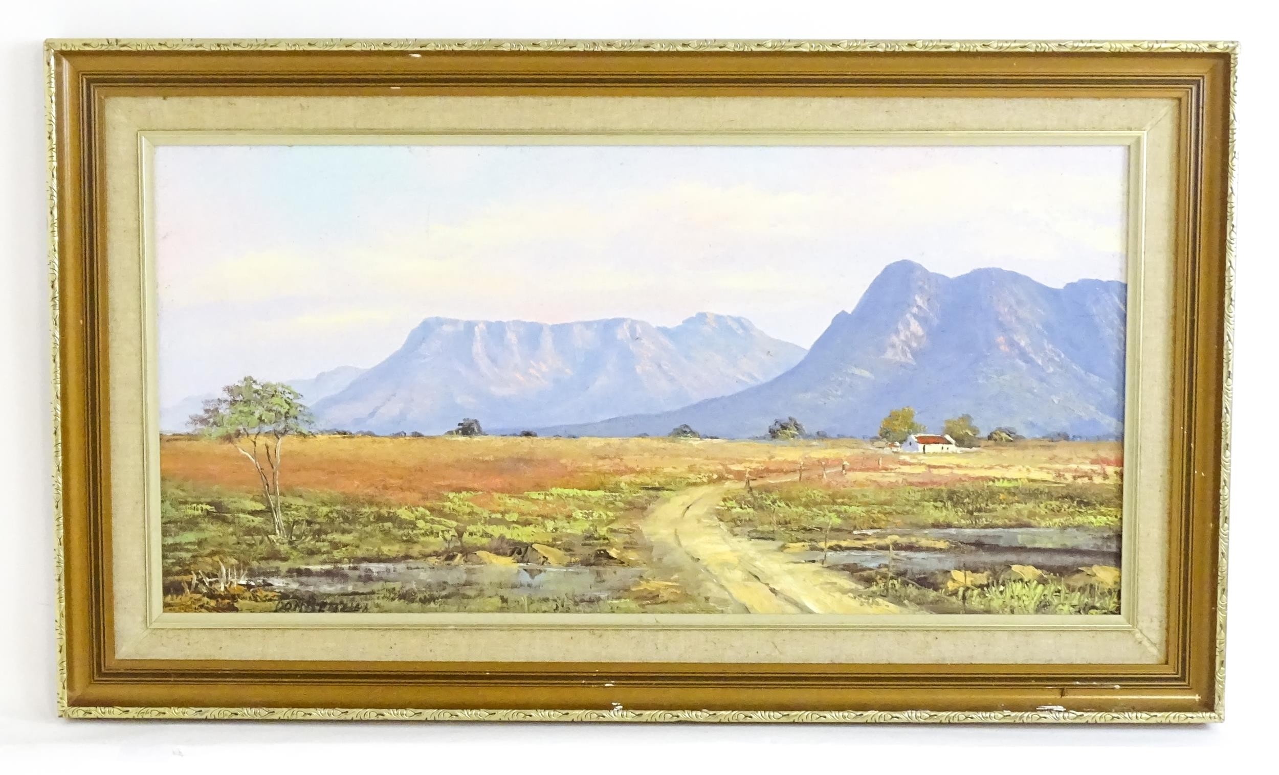 Don Benzien | A South African landscape scene depicting Central Karoo ...