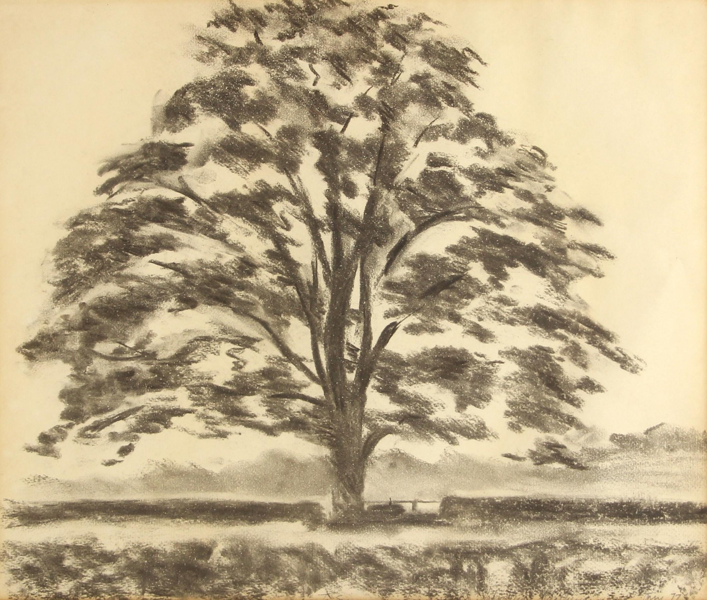 John Dewe Mathews | Study of a broad leaved tree (1977) | MutualArt