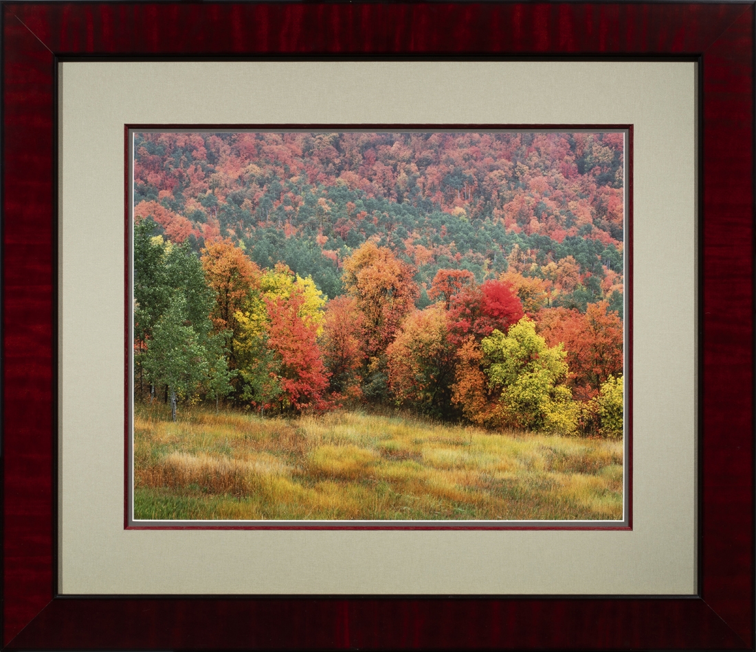 Robert Glenn Ketchum | Meadow in the Rain (1988 - 2002) | MutualArt