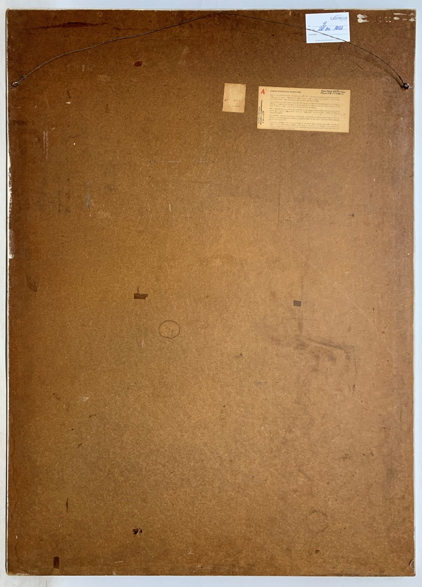 Cesar Rodriguez Musmanno | Medios combinados | MutualArt