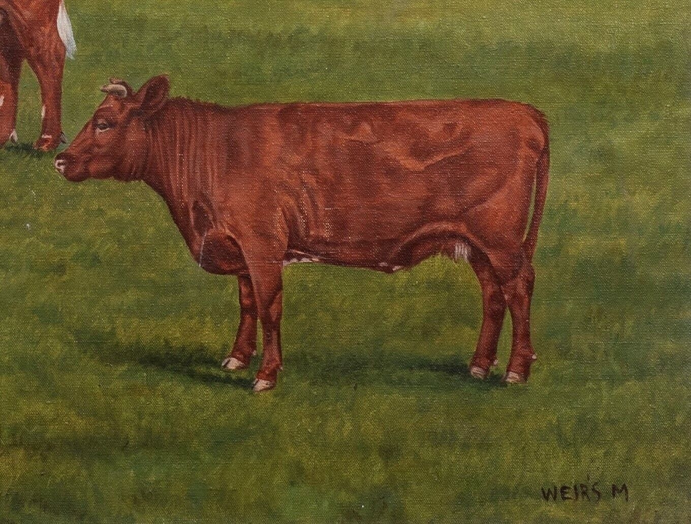 William Hemsley | PORTRAIT OF PRIZE SHORTHORN AND GALLOWAY OIL PAINTING ...