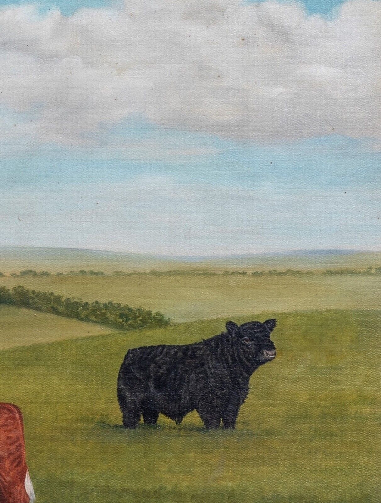 William Hemsley | PORTRAIT OF PRIZE SHORTHORN AND GALLOWAY OIL PAINTING ...