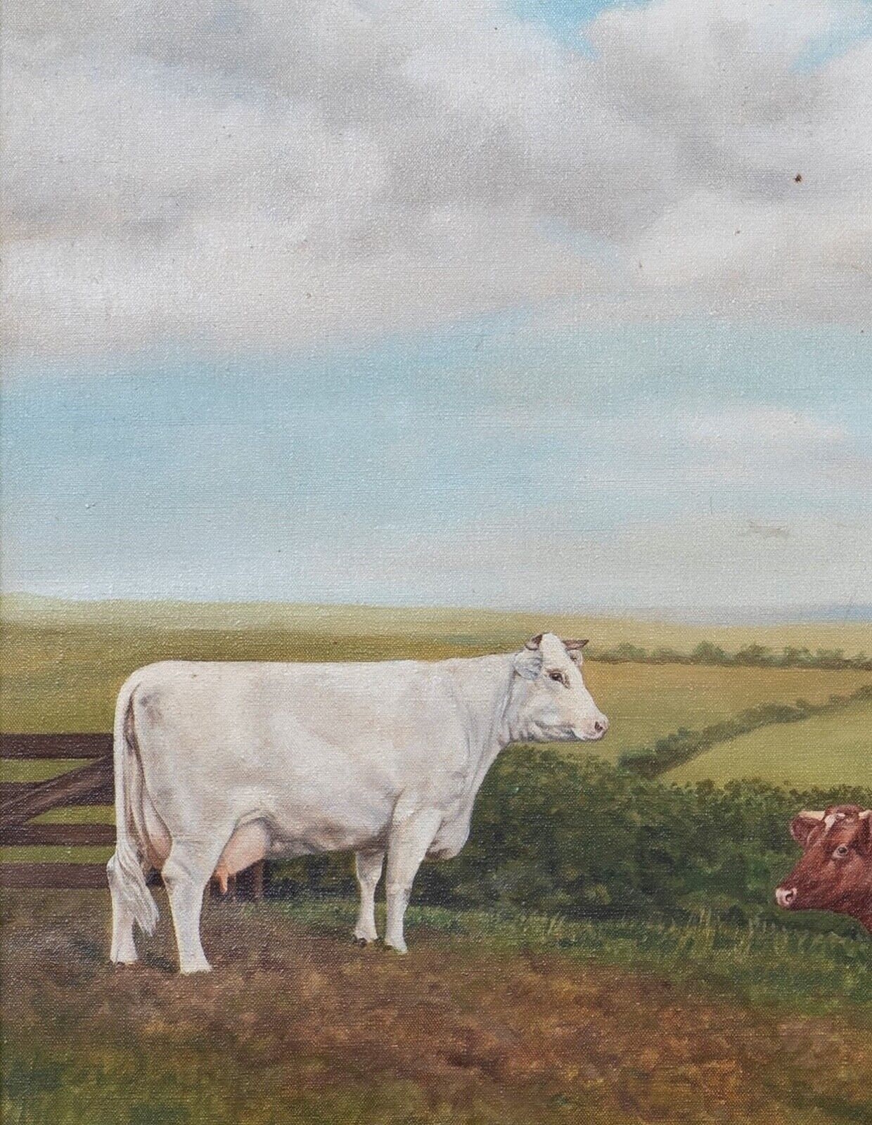William Hemsley | PORTRAIT OF PRIZE SHORTHORN AND GALLOWAY OIL PAINTING ...