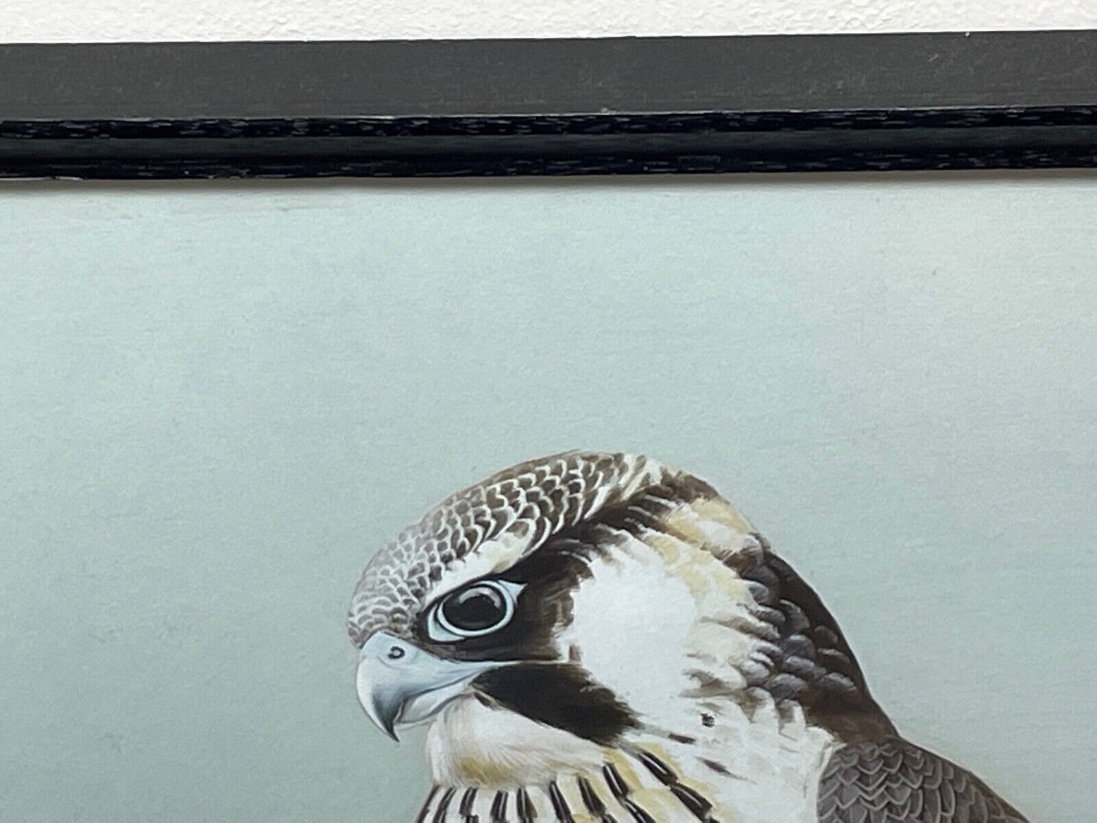 Cyril David Johnston | PEREGRINE FALCON (20th Century) | MutualArt