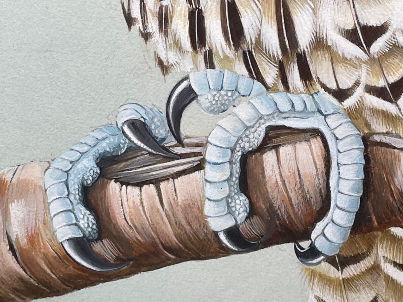 Cyril David Johnston | PEREGRINE FALCON (20th Century) | MutualArt