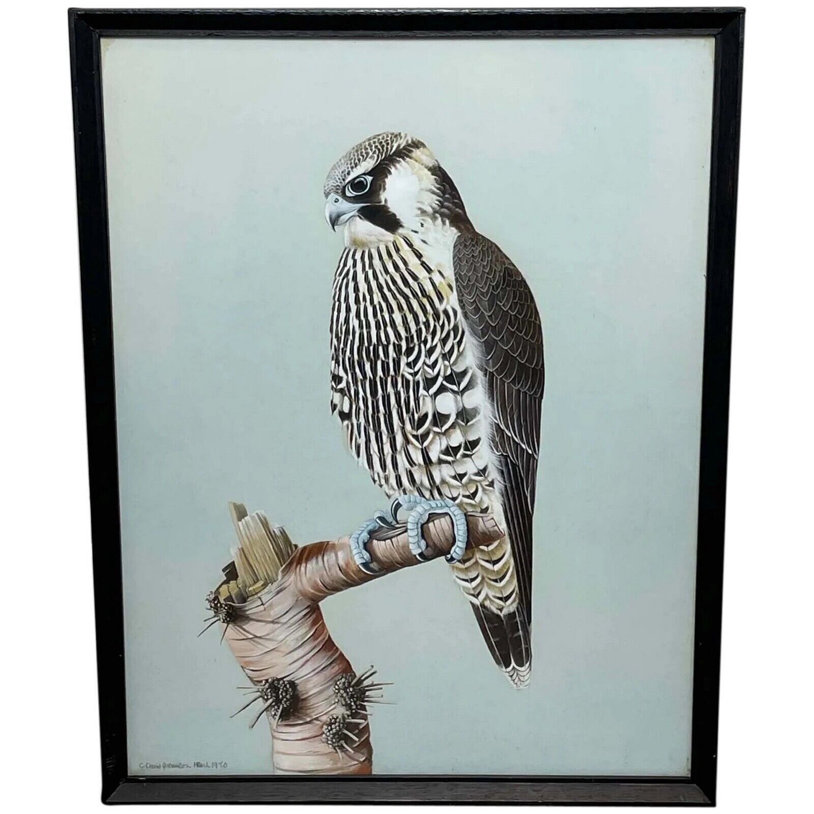 Cyril David Johnston | PEREGRINE FALCON (20th Century) | MutualArt