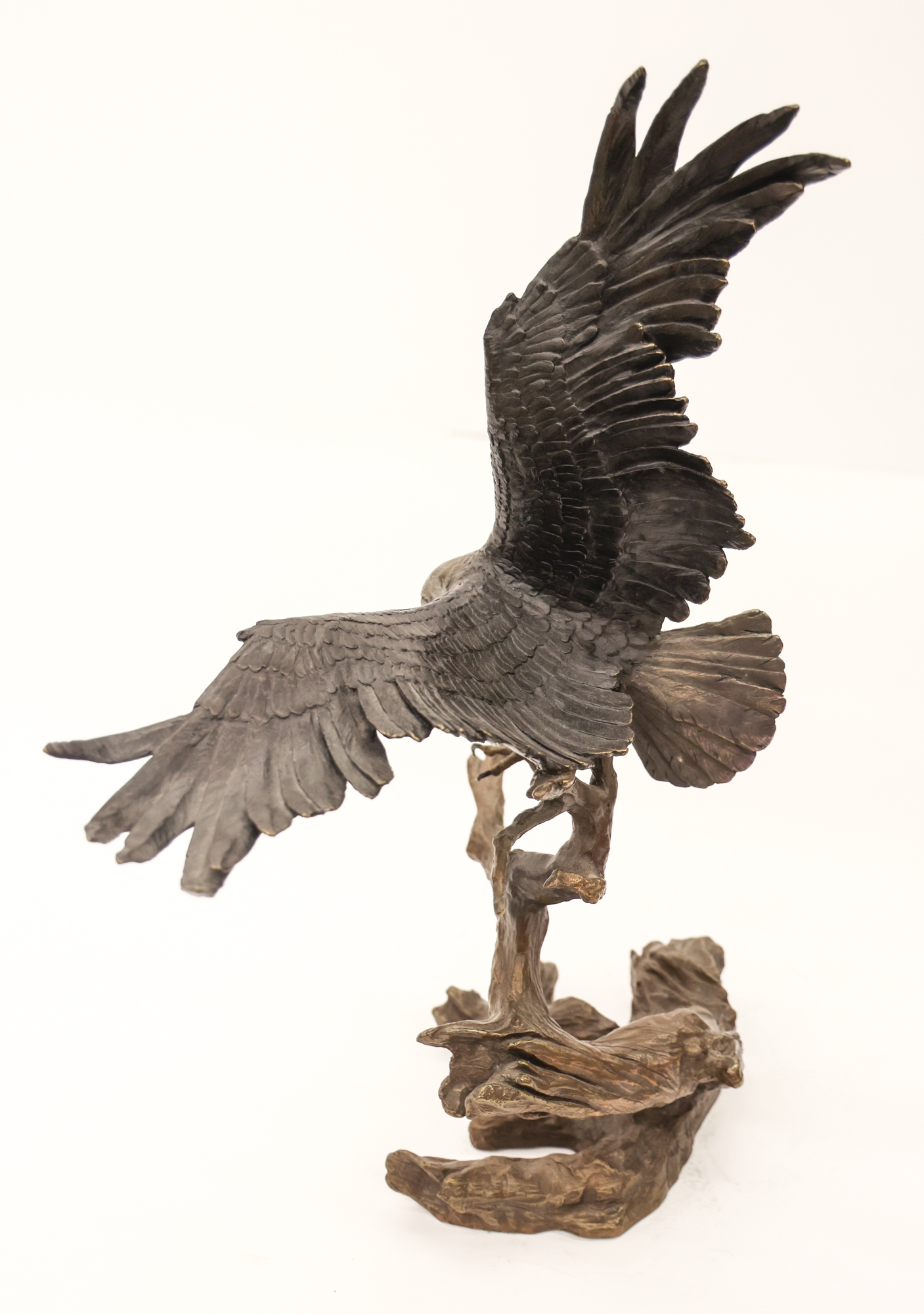 Mark Hopkins | Mark Hopkins ''Sovereign Territory'' (Eagle) 1998 Bronze ...