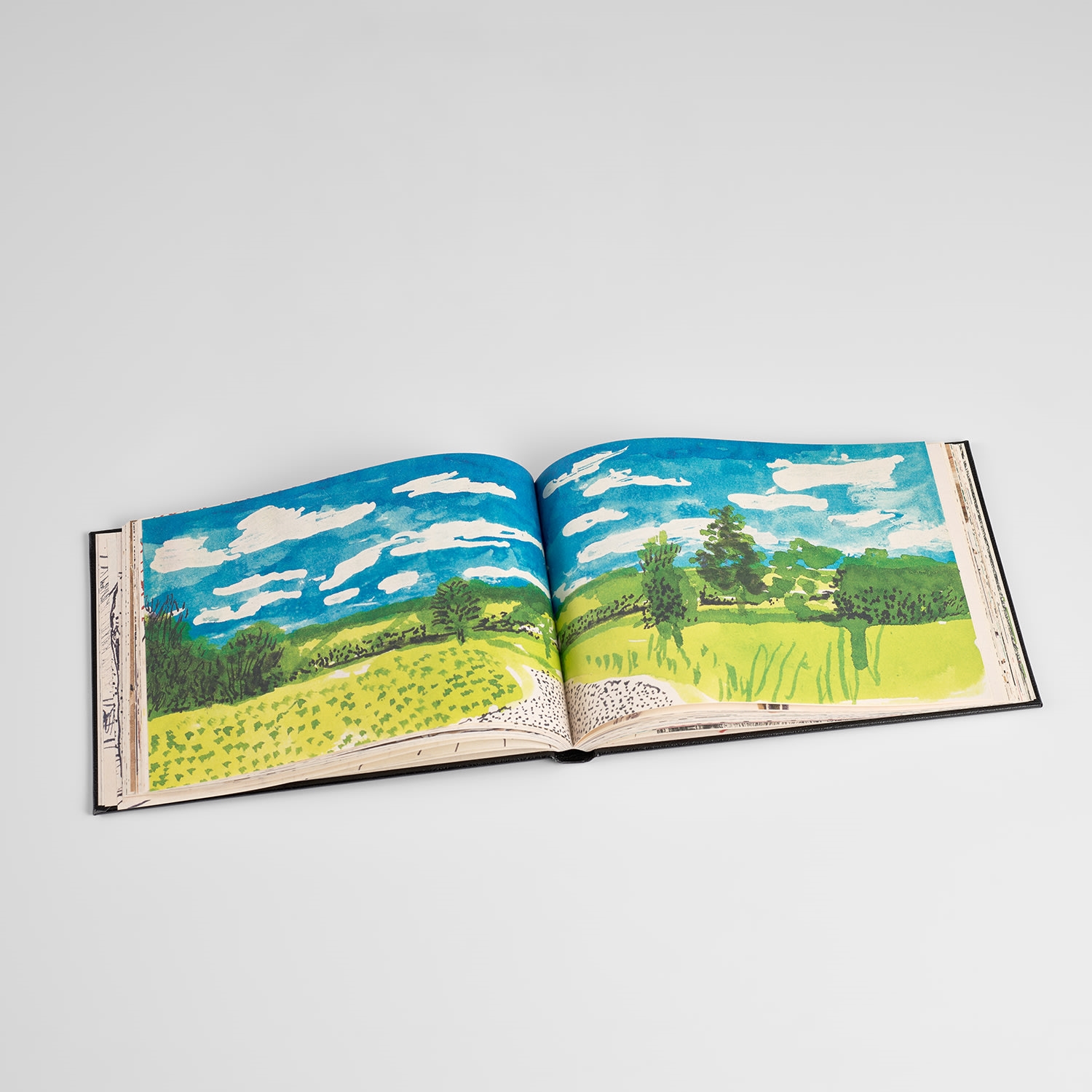 David Hockney | Spilt Ink with Tests, from David Hockney - 220 for 2020 ...