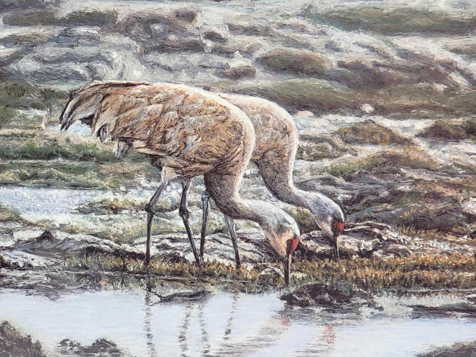 Cathy C. Kincade | Alaskan Sandhill Cranes | MutualArt