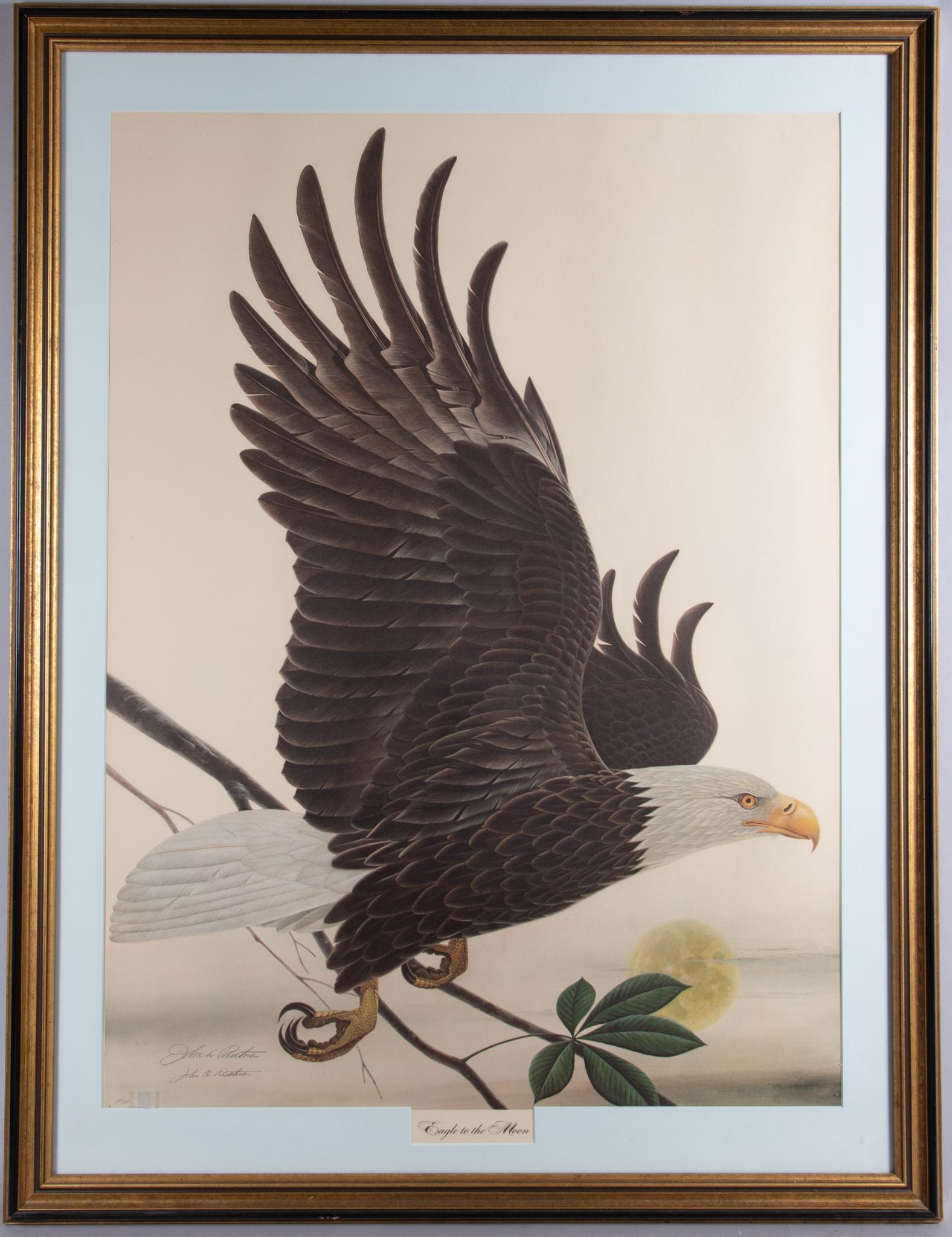 John Ruthven | Eagle to the Moon | MutualArt