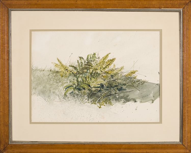 Thomas Devany Forrestall | Fern (1976) | MutualArt