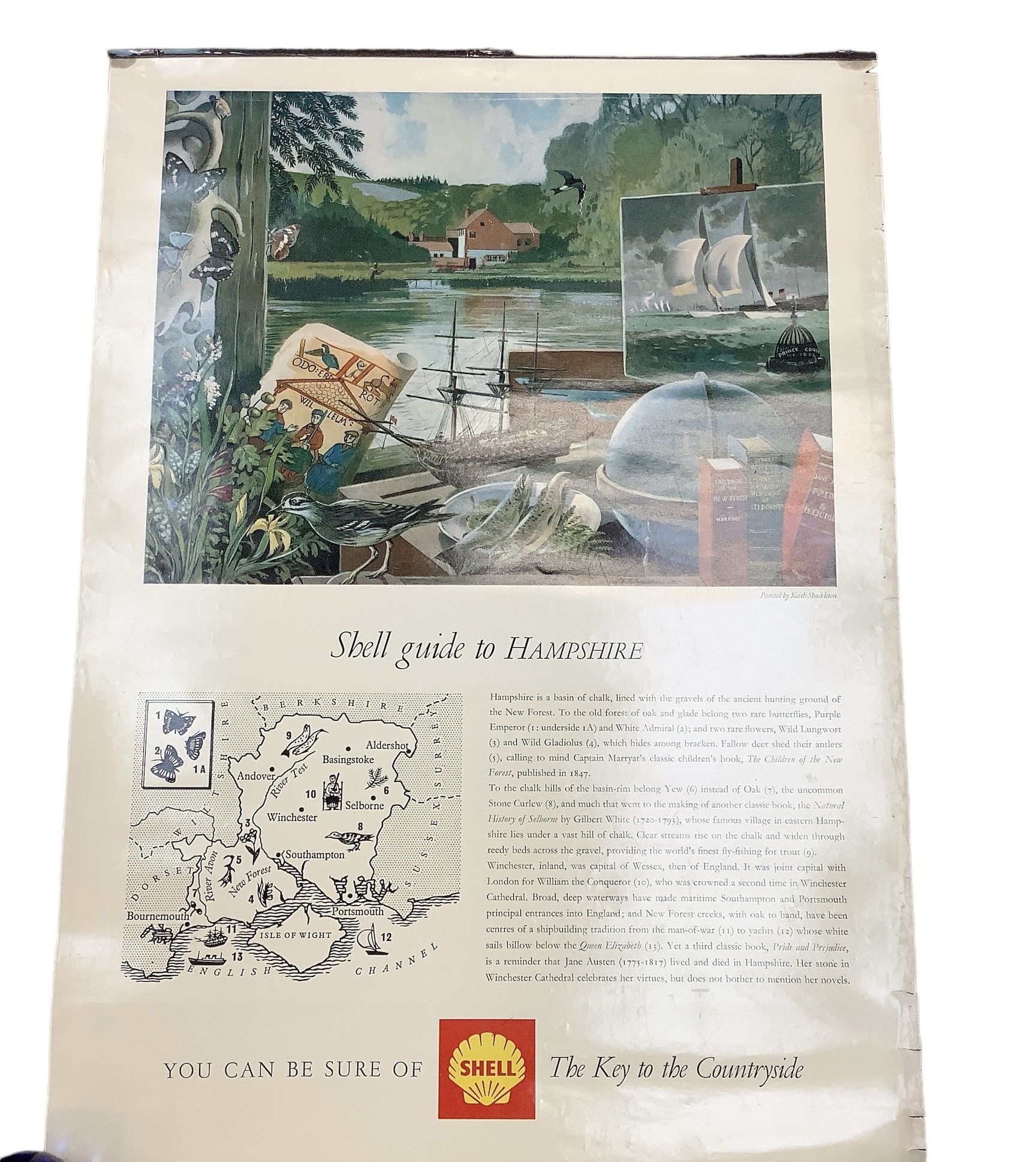 Keith Shackleton | Storm petrels in flight (1988) | MutualArt