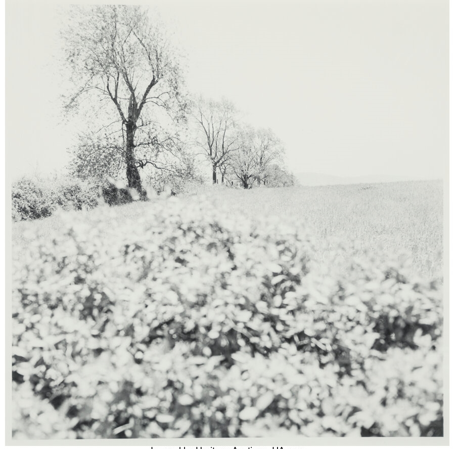 Ray Metzker | Kayak, Frankfurt | MutualArt