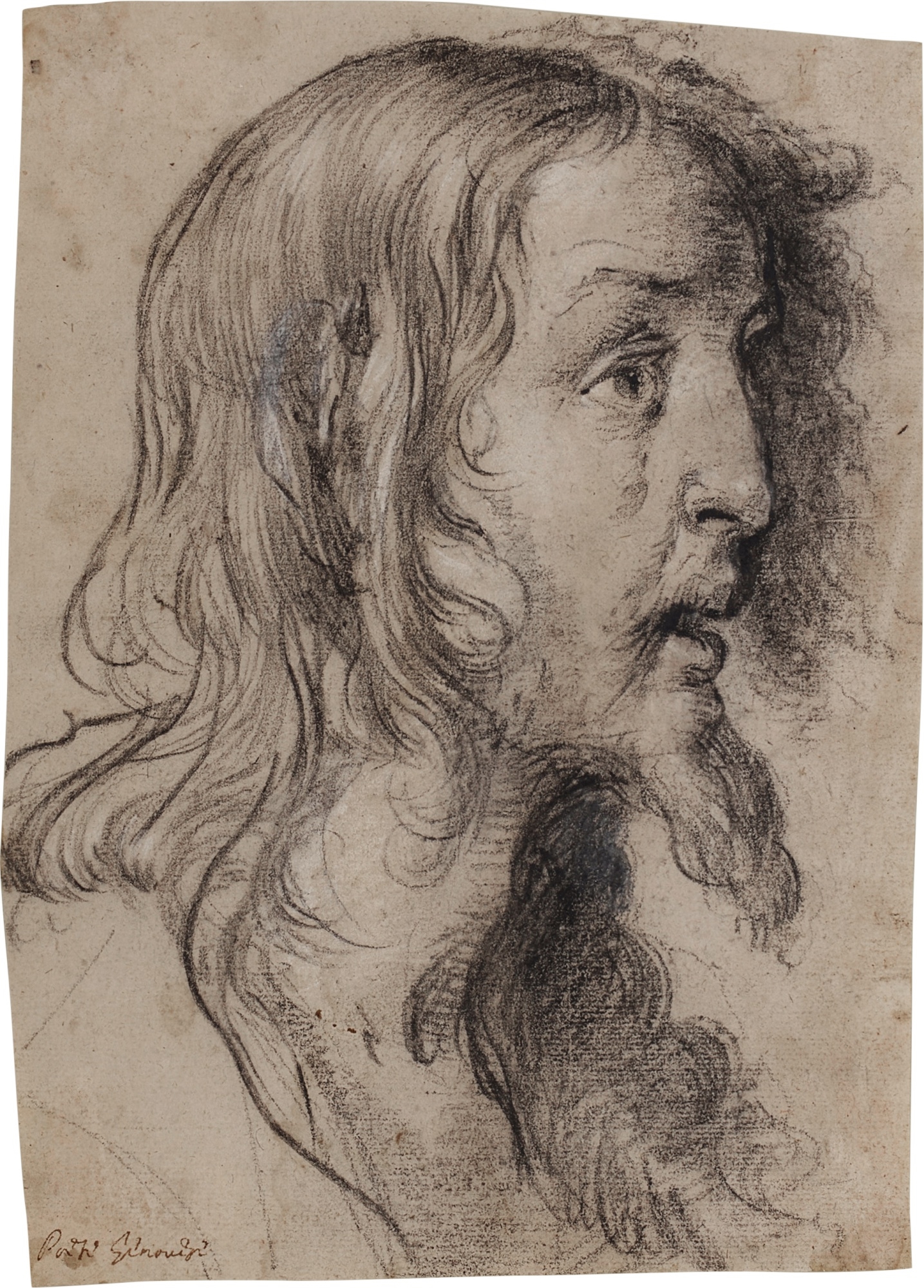 Bernardo Strozzi | The Head of Christ in Profile to the Right | MutualArt