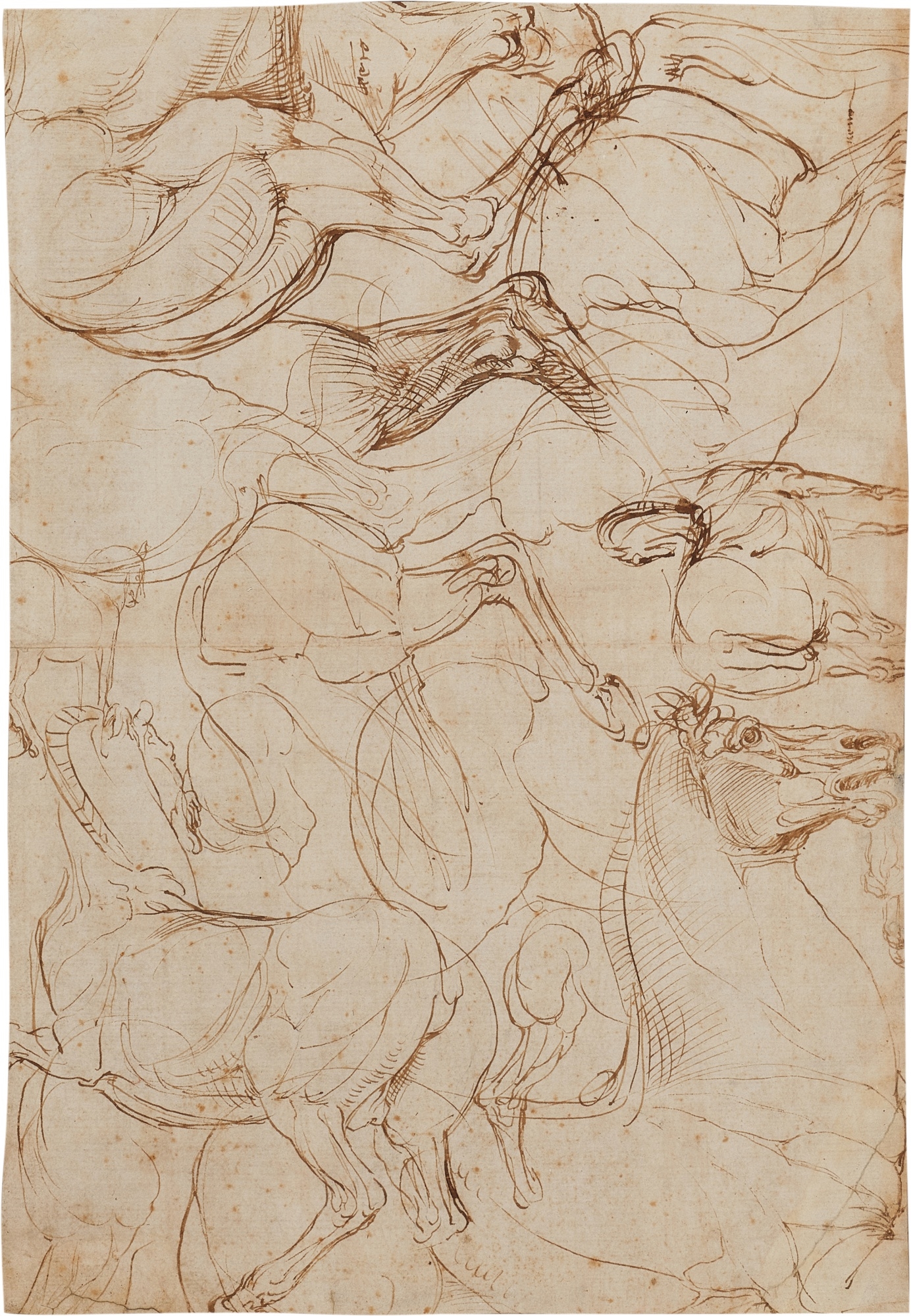 Perino del Vaga | Studies of men on horseback and in combat, Hector's ...