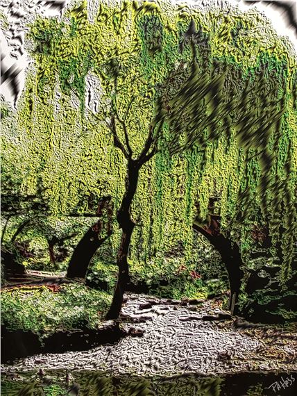 Peter Hogg | Peter Hogg Trees & Garden Photograph | MutualArt