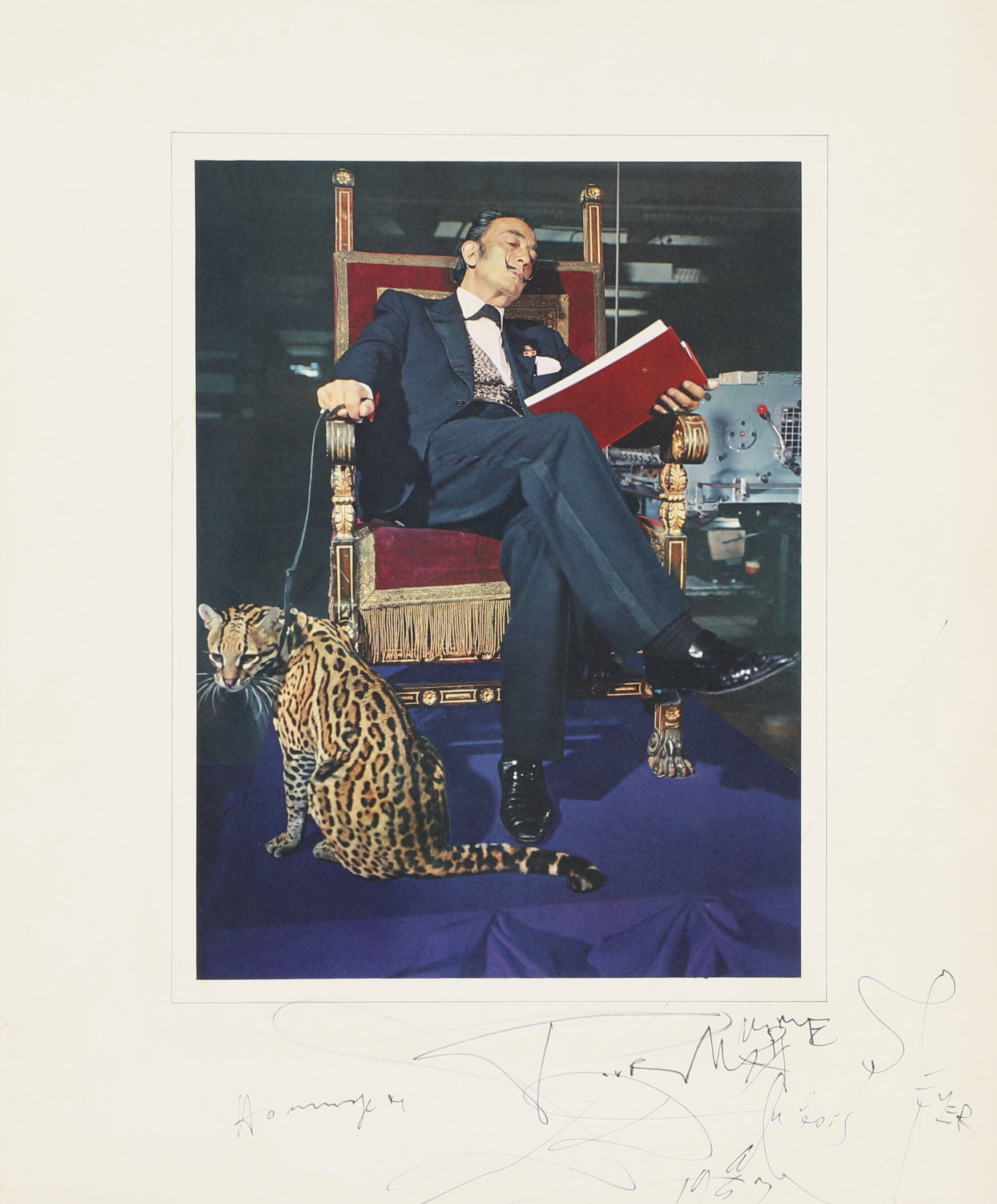 Salvador Dalí | Dali et son ocelot, 1959 (1959) | MutualArt