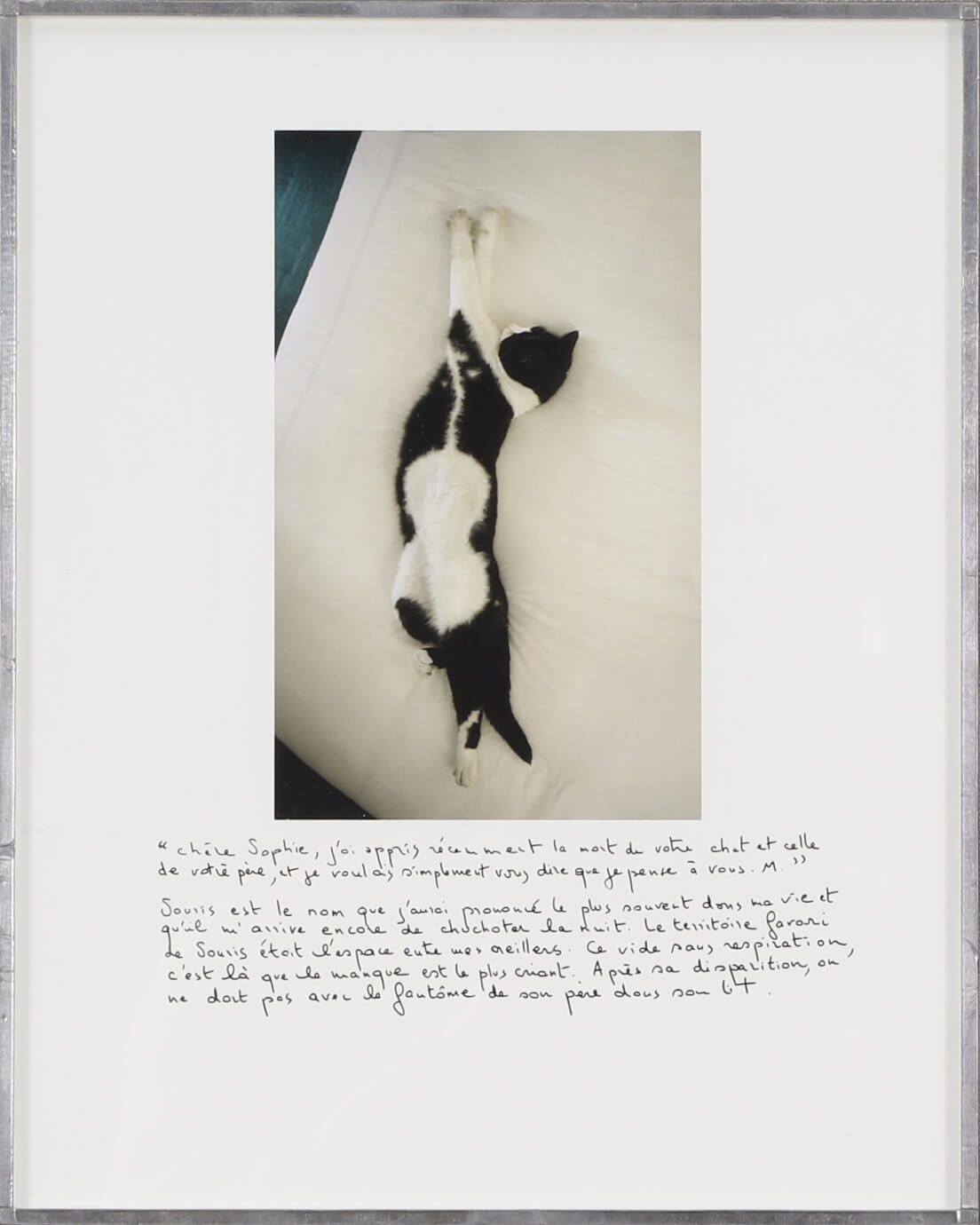 Sophie Calle | The Dice (2001) | MutualArt