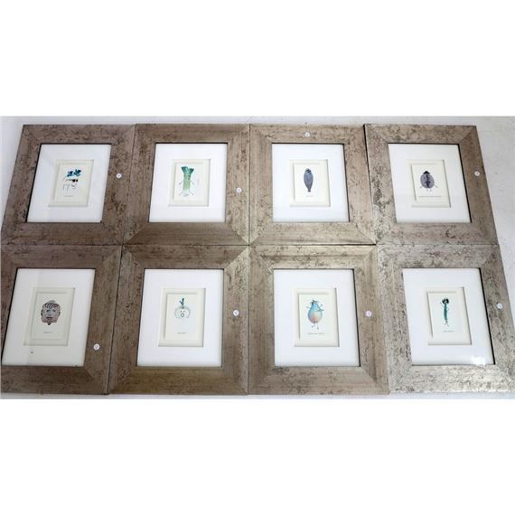 Mark Nightingale | Biography