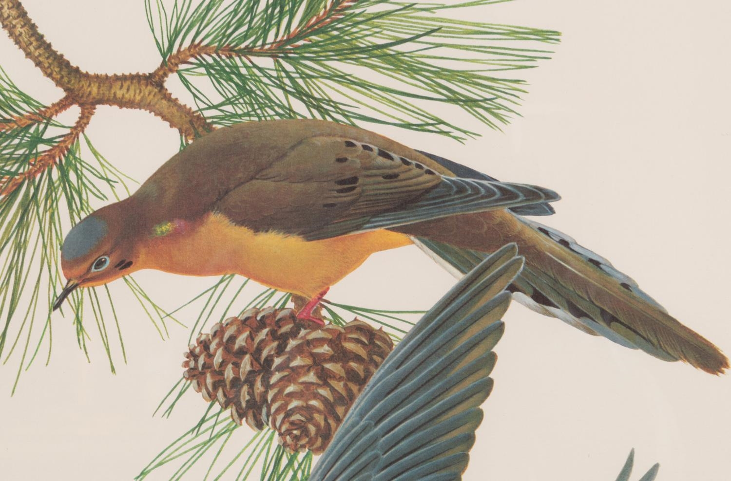 Athos Menaboni | ATHOS MENABONI 'MOURNING DOVE' LITHOGRAPH (1962 ...