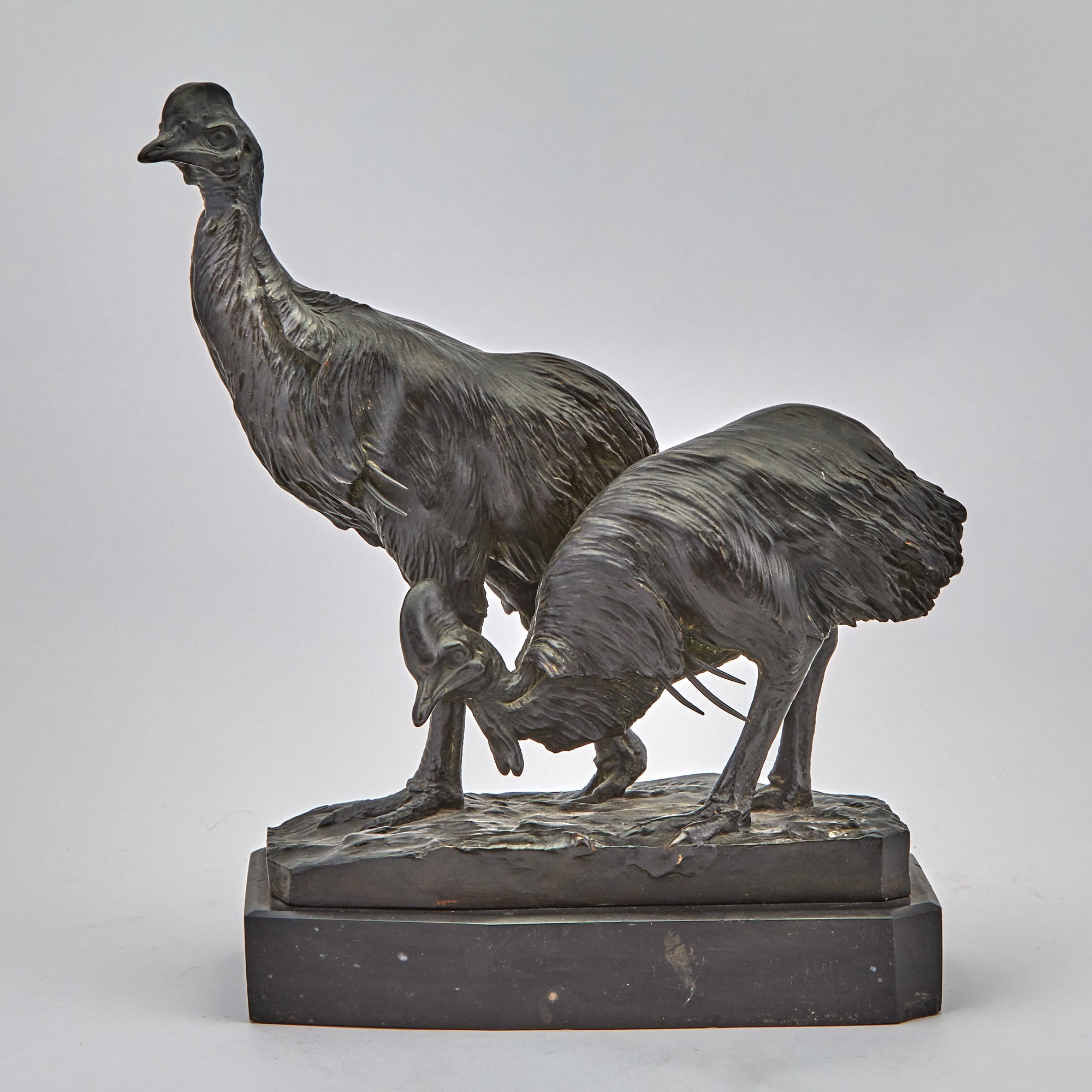 Josef Franz Pallenberg | Two Cassowaries (1904) | MutualArt